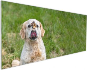 Wallario K&uuml;chenr&uuml;ckwand aus Glas 125 x 50 cm, Motiv: Hund trifft Leckerli | Spritzschutz abwischbar & pflegeleicht