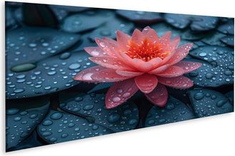 Islandburner Bild auf Leinwand Schimmernde Tropfen auf zarter, rosa Blüte nach dem Regen: EIN Blütentraum Schlafzimmer Blumenladen Leinwandbild