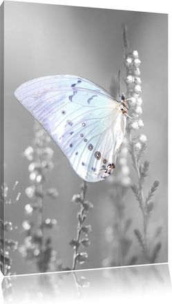 Pixxprint Schmetterling auf Blütenknospen, Größe: 80x60cm, Leinwandbild, fertig gespannt, Wandbild, Dekoration, Kunstdruck, kein Poster