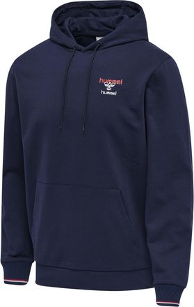 Hummel hmlIC DAYTON HOODIE