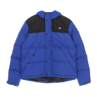 Dickies Blaue Daunenjacke mit Abnehmbarer Kapuze - - Jackets - Herren - Blau - S