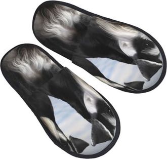 Generic Pantoufles En Coton Chien Schnauzer Animal Doux Slippers Confortable Pantoufles Pour Unisex DIntérieur De Camping M