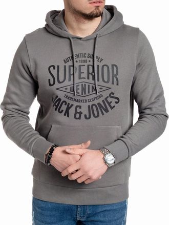 Jack & Jones Male Kapuzenpullover Logo Kapuzenpullover (Sedona Sage SUP Corvin/605 XXL)