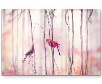 Paul Sinus Art Leinwandbilder | Bilder Leinwand 120x80cm Rotkardinal im Baum