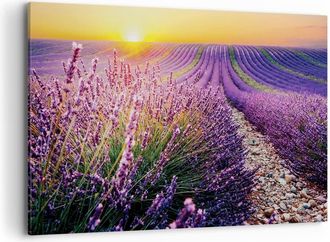 Arttor Wandbilder Dekoration Wohnzimmer Feld Lavendel Sonne Bilder auf Leinwand 120x80cm Leinwandbild Schlafzimmer Küche Deko Wand Kunstdruck Art Groß XXL Wa