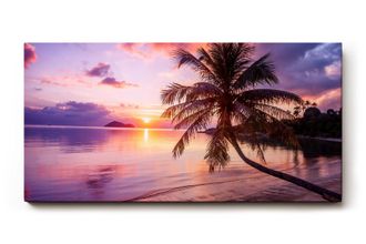 Paul Sinus Art Sinus Art Wandbild 100x50cm Strandmotiv mit Sonnenuntergang und Palme vermittelt Urlaubsstimmung und Harmonie