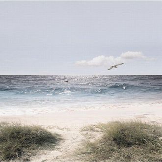 Eurographics Eurographics DG-DT7026 Deco Glass, Glasbild, Maverick 50 x 50 cm