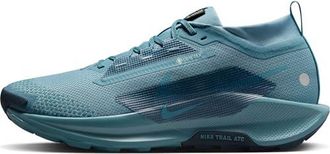 Nike Nike Pegasus Trail 5 Gore-TEX Chaussures de trail imperm&eacute;ables pour homme (FQ0908-005, bleu fum&eacute;/argent clair/bleu marine/bleu fum&eacute;), Bleu fum&eacute;/argent