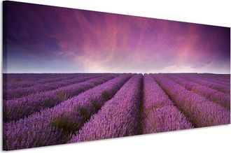 Paul Sinus Art 150x50cm Leinwandbild auf Keilrahmen Lavendel Feld Sonnenuntergang Wandbild auf Leinwand als Panorama