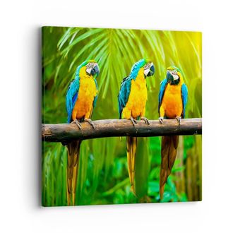 Arttor Bilder auf Leinwand 40x40cm Leinwandbild Papageien Collorful Natur V&ouml;gel Klein Wanddeko Bild Schlafzimmer K&uuml;che Deko Wandbilder Dekoration Wohnzimmer 