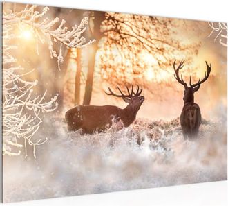 Runa Art Bild Winter Hirsch Modern Wandbilder Wohnzimmer 1 Teilig - Made In Germany - Wald Natur Beige Flur 003915a