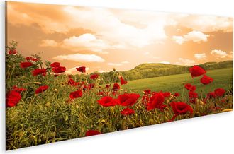 Islandburner Bild auf Leinwand Mohnblumenfeld Bilder Wandbilder Poster HRIA-Pano