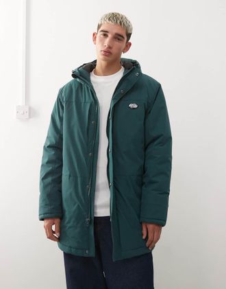 DC Brewberg - Parka - Pin ponderosa-Vert