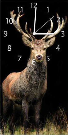 Wallario Design-Wanduhr, Acrylglasuhr Größe 30 x 60 cm, weiße Zeiger, Motiv Stattlicher Rothirsch