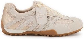 Geox Baskets bases Snake en cuir