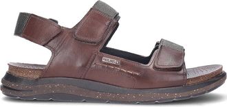 Pikolinos m0b0122 olmo