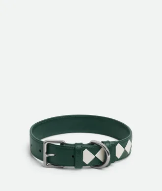 Bottega Veneta Mittelgro&szlig;es Intrecciato Hundehalsband - Bottega Veneta
