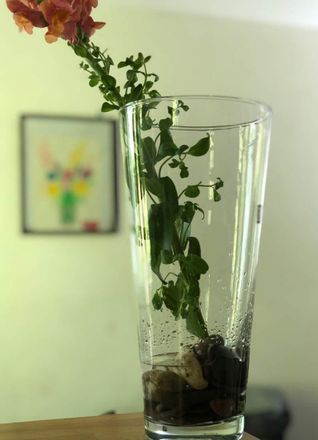 Maison Zoe Mundgeblasene und Handgefertigte Glasvase Iris - 30cm hoch - Blumenvase - Deko & Hochzeit