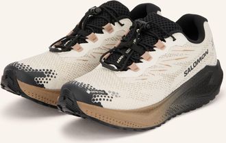 Salomon Trailrunning-Schuhe Aero Blaze 4 Grvl Gtx beige