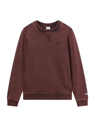 Champion Authentic Athletic Apparel Sweatshirt