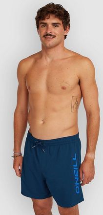 O'Neill Logo 16 Boardshorts english evening
