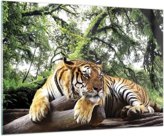 Arttor Bilder auf Glas 100x70cm Glasbild Tiger Dschungel Ruhe Groß Wanddeko Bild im Glas Schlafzimmer Küche Deko Wandbilder Dekoration Wohnzimmer Modern Wall