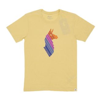 Cotopaxi Lama Streifen Tee Kurzarm T-Shirt - - Tops - Herren - Gelb - S
