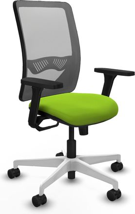 Piqueras y Crespo Zulema Stuhl mit verstellbarer Lendenwirbelst&uuml;tze mit 3D-Armlehnen. Ausgestattet mit 3 Positionen und Schneidschaum. Mit Rollen 65 mm Nylon, Grau/Pist