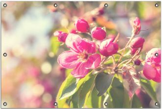 Wallario Outdoor-Poster f&uuml;r Garten oder Balkon Fr&uuml;hlingszauber, Motivbanner Gr&ouml;&szlig;e: ca. 80 x 120 cm, Outdoor-Bild