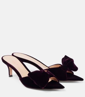 Gianvito Rossi Mules 55 en velours