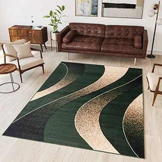 Tapiso Dream Tapis de Salon Chambre Salle &agrave; Manger Adulte Bureau Design Moderne Vert Beige Abstrait Motif Ondes Vagues Poil Court Fin Doux L&eacute;ger R&eacute;sistant 14