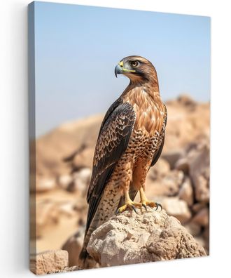 MuchoWow &copy; Bild auf Leinwand 50x70 cm Schlafzimmer Bilder Badezimmer Wand Deko Wohnzimmer Modern Wanddeko Bilderwand Geschenk Falke - Vogel - Fels - Kraft