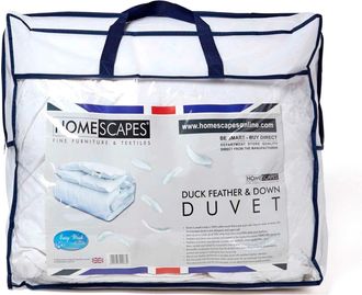 Homescapes Daunendecke 200x200 cm - Warme Winterdecke W&auml;rmeklasse 4-5, Entenfedern & Daunen Bettdecke, 550 GSM F&uuml;llung, Steppdecke, Oeko-TEX Standard 100