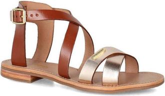 Les Tropeziennes hixy