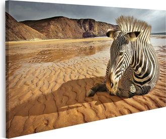 Islandburner Bild auf Leinwand Strand Zebra Wandbild Leinwandbild Bilder f&uuml;r Wohnzimmer GCJE-1K