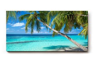 Paul Sinus Art Sinus Art Wandbild 100x50cm Tropischer Strand mit weißen Sand und schattenspendenden Palmen als Urlaubsidyll