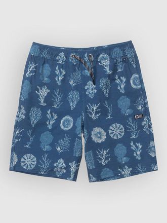 Salty Crew Crew Volley Kids Boardshort bleu