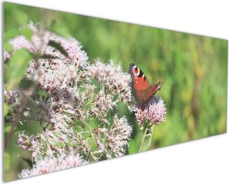 Wallario K&uuml;chenr&uuml;ckwand aus Glas 125 x 50 cm, Motiv: Schmetterling auf Bl&uuml;te | Spritzschutz abwischbar & pflegeleicht