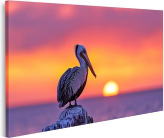 Islandburner Prime Bild auf Leinwand Pelikan bei Sonnenuntergang am Meer für Wohnzimmer Naturliebhaber Café Bilder Wandbilder Poster