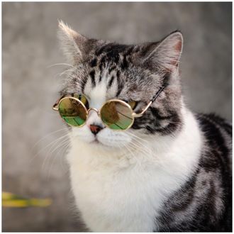 Wallario Sticker/Aufkleber f&uuml;r K&uuml;hlschrank/Geschirrsp&uuml;ler/K&uuml;chenschr&auml;nke, Selbstklebende Folie - 60 x 60 cm, Motiv: Katze mit Stil