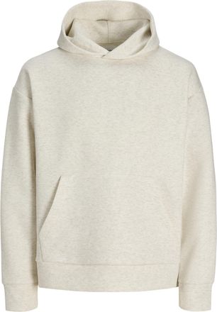 Jack & Jones Jjebarron Sweat Hood Noos