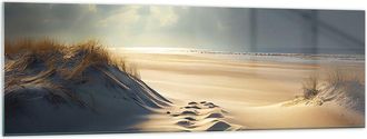 Arttor Panorama Bilder auf Glas 160x50cm Glasbild Dünen Strand Ozean Groß XXL Wanddeko Bild im Glas Schlafzimmer Küche Wandbilder Dekoration Wohnzimmer Moder
