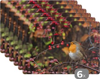 MuchoWow Placemats Platzdeckchen Platzset Tischset 6-teilig Tischdeko Untersetzer 45x30 cm Äste - Rotkehlchen - Natur