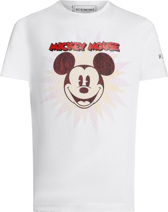 Iceberg DISNEY