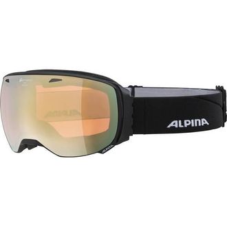 Alpina Damen und Herren Skibrille Big Horn QMM