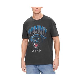 Tommy Hilfiger DM0DM18281BDS