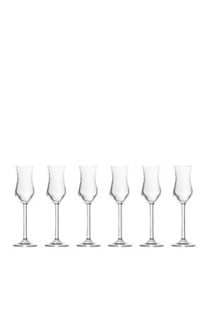 Leonardo Grappaglas-Set Daily, Klar, Glas, 6-teilig, 6 cm, Essen & Trinken, Gl&auml;ser, Gl&auml;ser-Sets