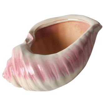 Hemobllo Keramik Blumentopf Muschel Design Sukkulenten &Uuml;bertopf f&uuml;r Innenbereich B&uuml;ro Fensterbank Schreibtisch Dekoration Strandthema Pflanzenk&uuml;bel Desktop Pfl