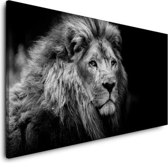 Paul Sinus Art Löwen Portrait 120x 60cm Panorama Leinwand Bild XXL Format Wandbilder Wohnzimmer Wohnung Deko Kunstdrucke