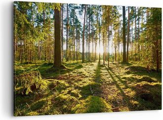 Arttor Wandbilder Dekoration Wohnzimmer Wald Baum Natur Bilder auf Leinwand 120x80cm Leinwandbild mit Rahmen Schlafzimmer K&uuml;che Deko Wand Kunstdruck Art Gro&szlig;
